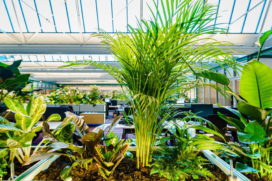 CBRE 'The Core' - Groene interieur projecten in beeld | Hydrozorg ...